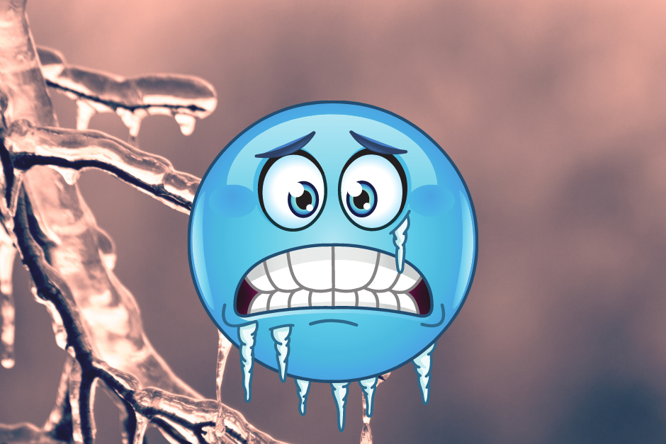 Below Freezing Temps! — Stone & Browning